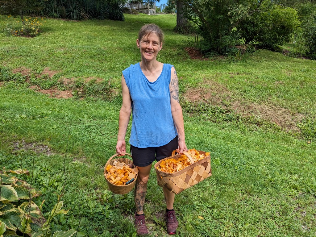 NC Laws and Regulations – NC Wild Mushrooms